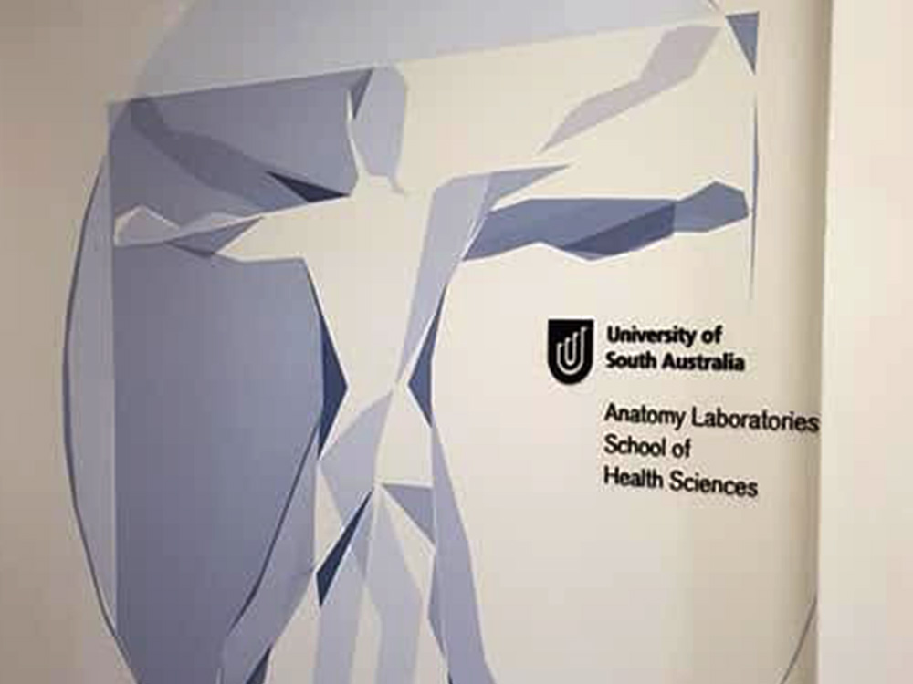 Wayfinding Wall Graphics - Signs SA | Signarama Salisbury